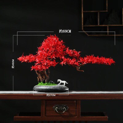 Real Pine Bonsai Lohan Pine Flower Pot Home Welcome Pine Rea