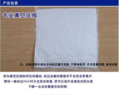 core/ pillow core 45x45/ 50X50/ 55X55/ 60X60/ 65x65cm