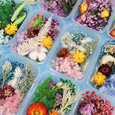 200pc Real Dried Flowers For DIY Art Craft Epoxy Resin Candl