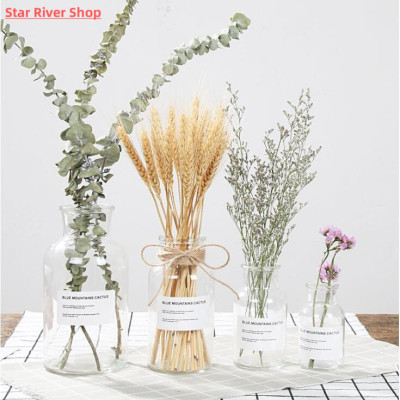 48h Glass Vase Flower Pot Flower Basket Flower Vase Decorati