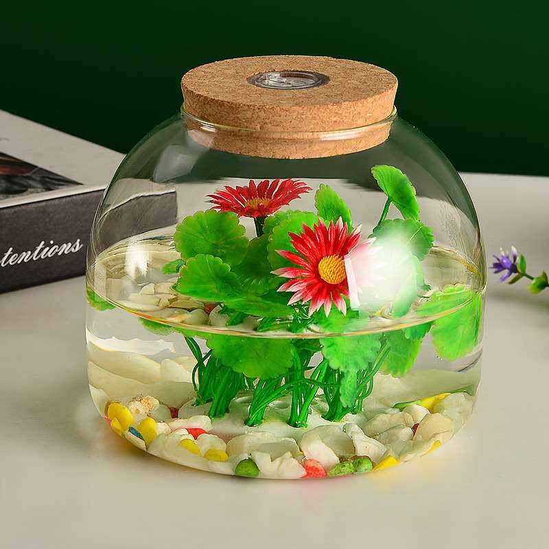 Micro landscape ecological bottle moss plant glass vase hydr