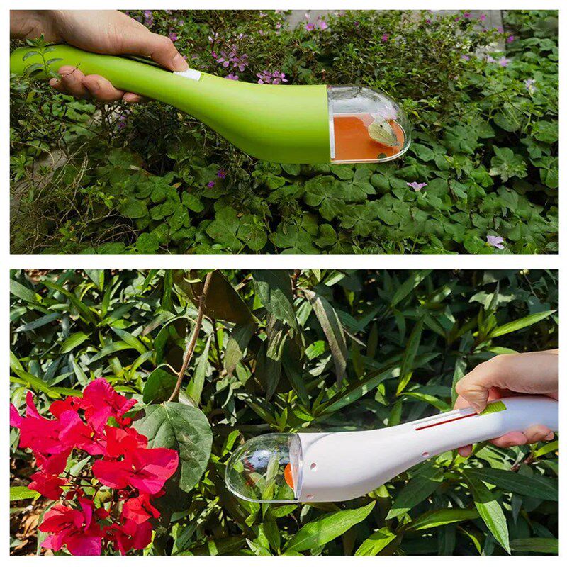 Insect Observer Push Type Bug Catcher Bug Observer Quick-Rel