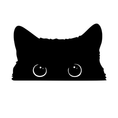 1 piece Hot  Car er Accessories Poor Cat Is Stealing with Bi
