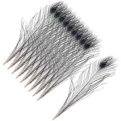10 Pcs Decor Peacock Vase Decorative Plumes Filling Party