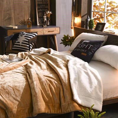 Bedsure Sherpa Fleece Blanket Soft Throw Blanket Flannel