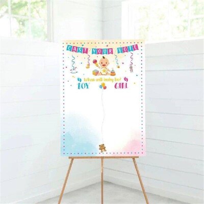 Baby Shower Party Sticker Set Gender Secret Game Birthday
