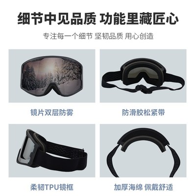 202大柱面眼镜层防雾大视野雪镜登山风镜护目镜#7073