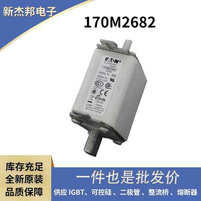 170M7666 170M7671 170M7676 170M7978原盒陶瓷熔断器 保险丝