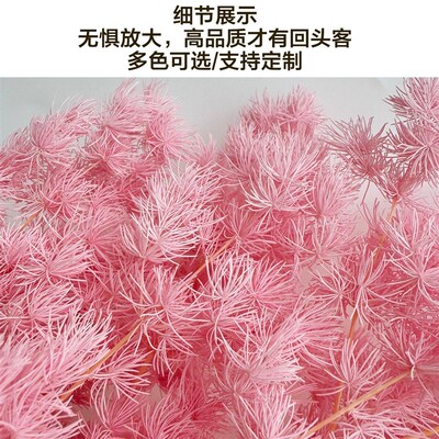 Penglai Pine Immortal Flower Dried Flower Bouquet Wedding Ho
