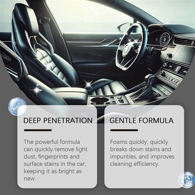 Rayhong Car Interior Cleaner - Seat, Ceiling, and Dashboard