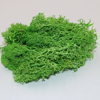 Yunnan Immortal Flower Dried Flowers, Impurity-free Immortal