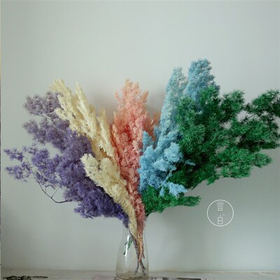 Preserved Penglai Pine, Cedar Hydrangea Pine Preserved Flowe