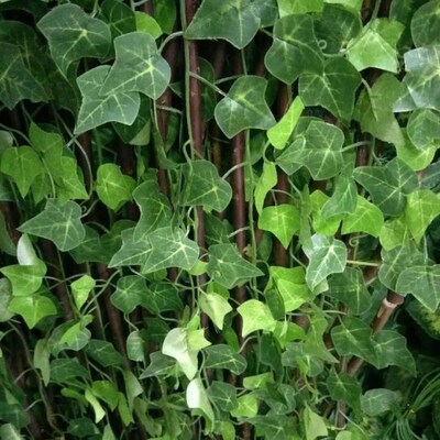210cm Home Decor Artificial Ivy Leaf Garland Plants Vine Fak