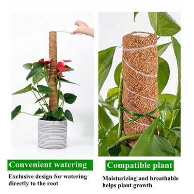30/40/50CM Plant Climbing Pole Palm Stick Vine Support Exten