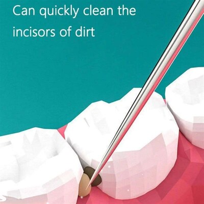 1set-Stainless Steel Toothpick Set Tooth Flossing Reusable T