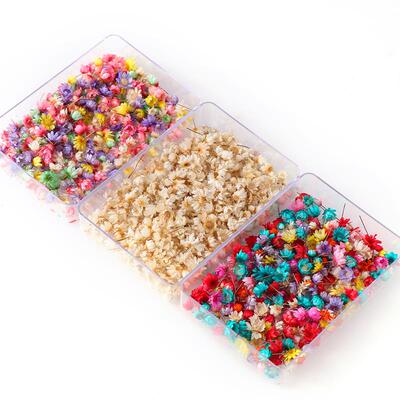 100-600 Pieces Boxed Decorative Dried Flower Mini Star Bouqu