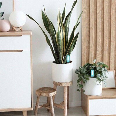 2 In 1 Humidity Temperature Sensor Heat Resist Plant