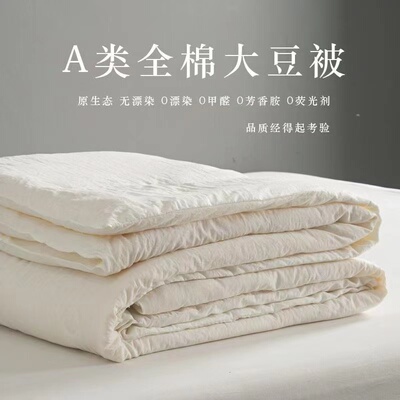Sofe Comforter Duvet Blanket Air Condition Quilt Summer 夏被