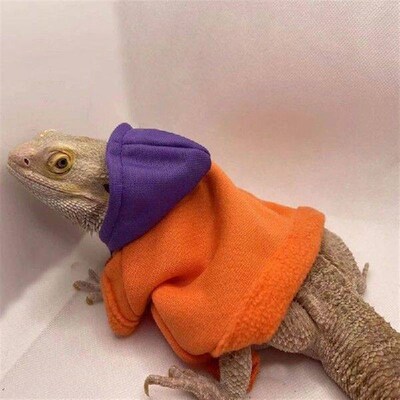 Lizards Clothes for Bearded Dragon Geckos Reptiles Apparel