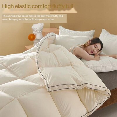 summer autumn quilt thick comforter duvet blanket 被子被芯
