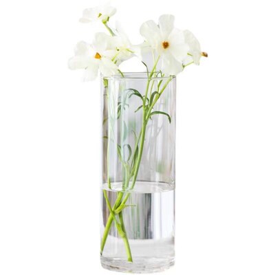 Nordic Ins-style Simple Glass Vase Hydroponic Flowers Flower