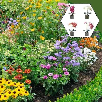 Artificial Orchid Bonsai Potted Simulation Phalaenopsis Home