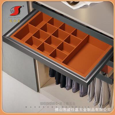 橱柜多功能伸缩裤架柜内置皮革首衣衣饰盒帽间抽拉WSJ-PG01裤架纳