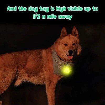 LED Pet Pendant Collar Waterproof Dog Collar Light for Outdo