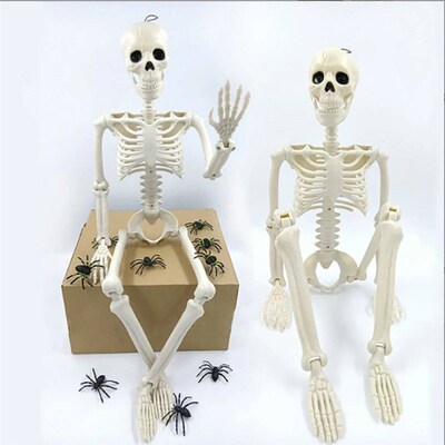 Halloween Decoration Skeleton,Poable Human Shape Skeleton,Ha