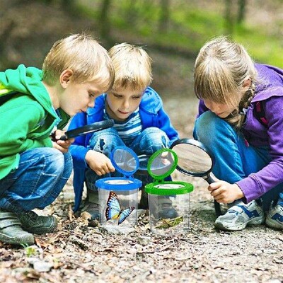 Portable Children Outdoor Insect Observation Box Flip Lid