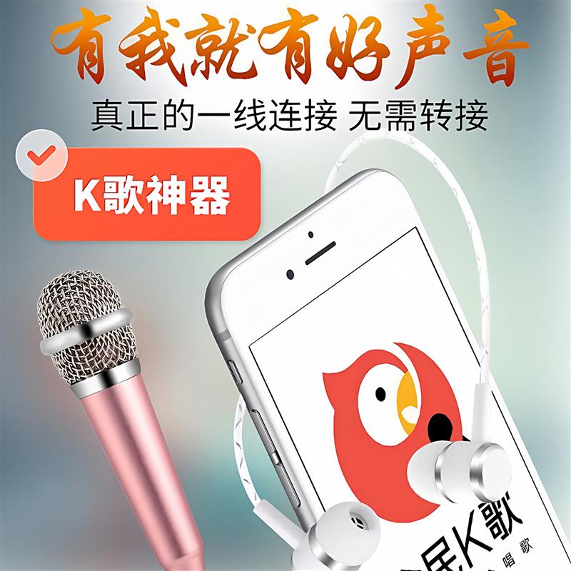 主动降噪迷你麦克风手机K歌专用耳机全民K歌神器唱歌