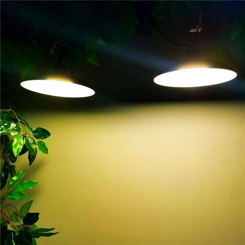 Double Heads 16*2 LED Solar Light Outdoor/Indoor Solar Chand