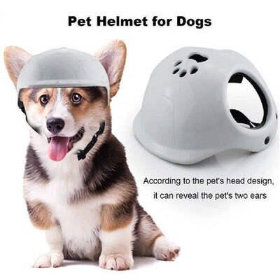 Adjustable Pet Headgear Pet Safety Helmets for Outdoor