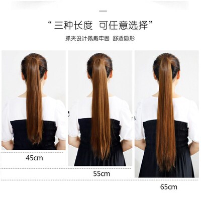 Passetail Wig Womens Long Hair Grab Clip Long Straight High