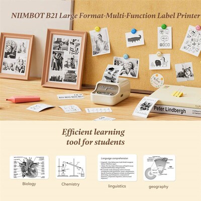 Niimbot B21 Pro Label Printer 300dpi Wireless Printer 20-50m