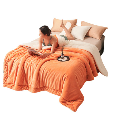 Fleece Autumn Winter Warm Blankets Bed Thicken Duvet Cover