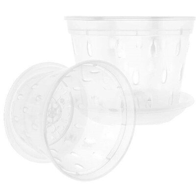 Transparent Butterfly Orchid Special Flower Pot Clear Pots