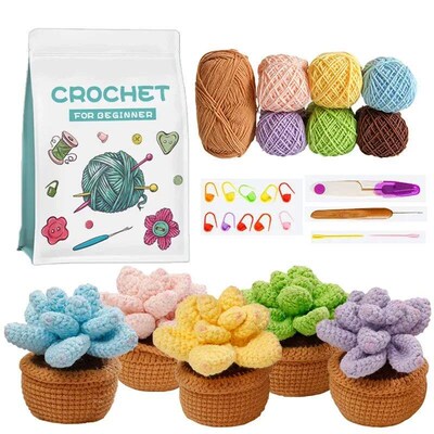 5PCS Cute Succulent Plants Crochet Starter Kit with Step by