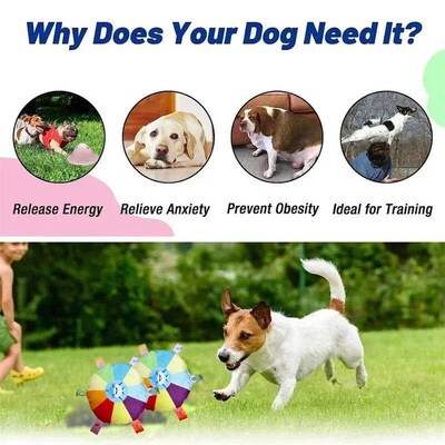 Funny Rainbow Plush Flying Saucer Dog Toys Outdoor Interacti