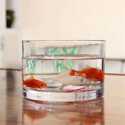 A3PA Glass Aquariums Cylinder Vase Fish Bowl Transparent