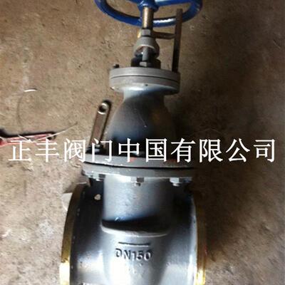 新款船用闸阀 船用标准法兰铸钢闸阀 海底阀CB/T466-95 AS100包邮