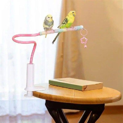 Bird Playground Parrot Stand Colorful Cockatiel Toys With