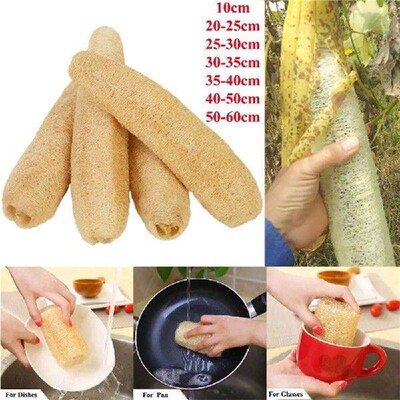 Natural Loofah Luffa Sponge Long Ecological Planting Body
