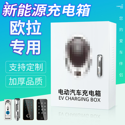 欧拉充电箱充电桩保护箱配电箱 新能源电动 室外防水iQR1R2猫魏派