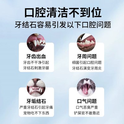 Yegbong宠物牙刷笔猫咪口腔清洁除口臭去结石狗狗牙结石去除神器