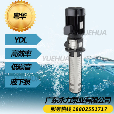 YDL4粤华牌液下多级不锈钢循环浸入式冷却液数控机床高压水泵
