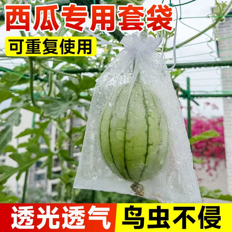 西瓜套袋防鸟防虫专用袋透气透光冬瓜水果瓜果套袋果袋防果蝇神器