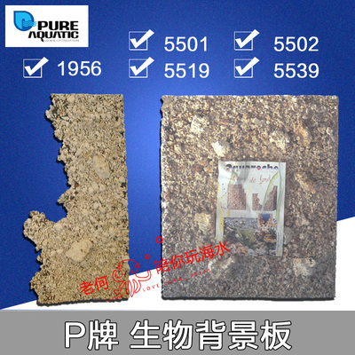 P牌 法国培菌造景石 鱼缸背景造景石 5501 5502 5519 5539 1956
