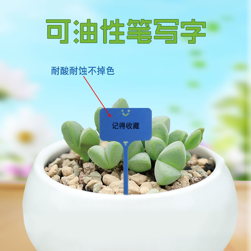 植物标签插牌名称插签花盆标牌标识兰花插地牌花卉记号牌小号园艺