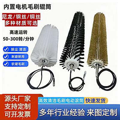 工业毛刷辊内置电机24V48V清扫器毛刷电动滚筒除尘尼龙毛刷辊轴